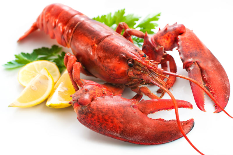 Enjoy a Tasty Meal From the Ocean at Weston Seafood - World Wide Hotelz